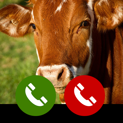 Fake call from Cute Cow - App on Amazon Appstore