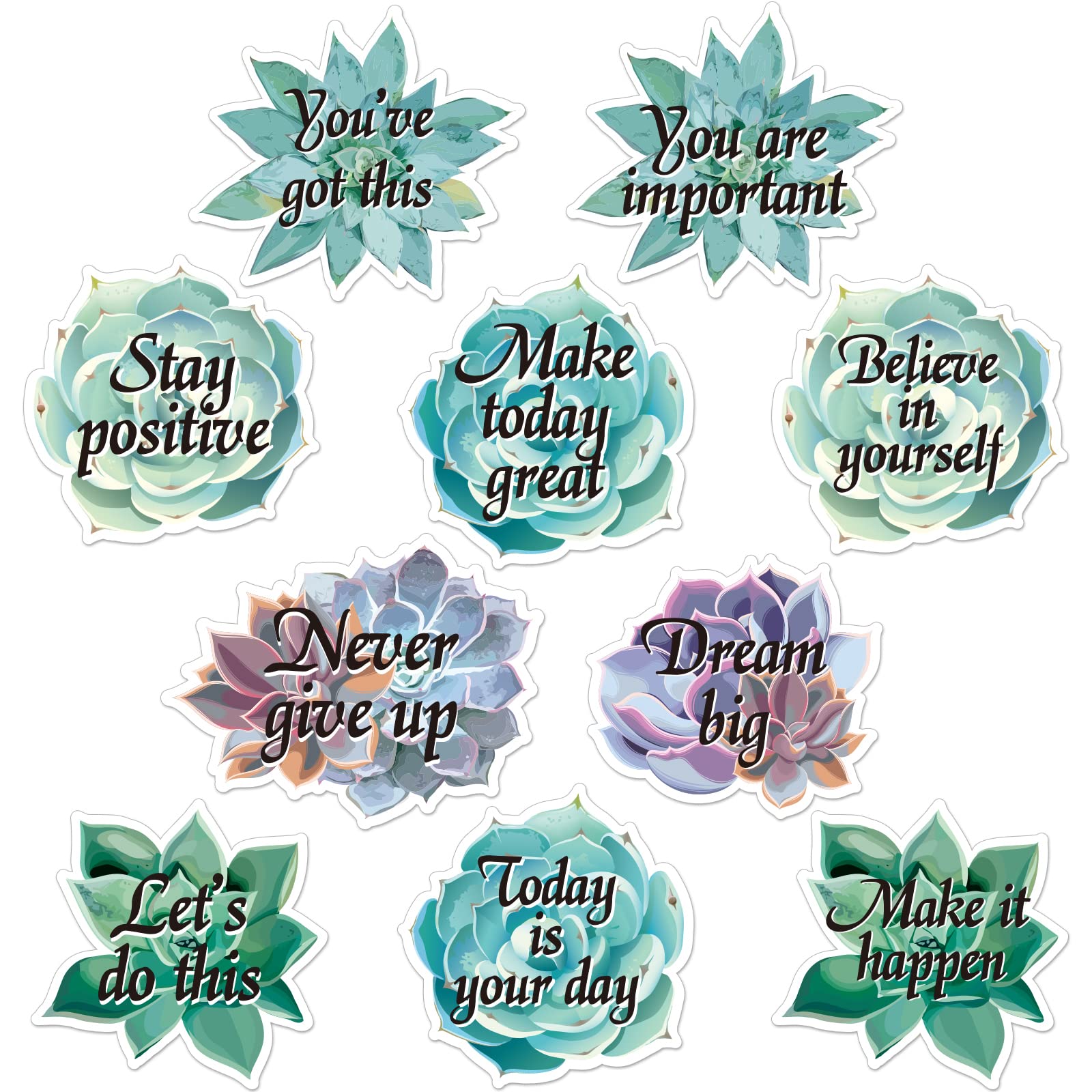 Buy 50pcs Positive Sayings Accents Succulents Motivational Classroom ...