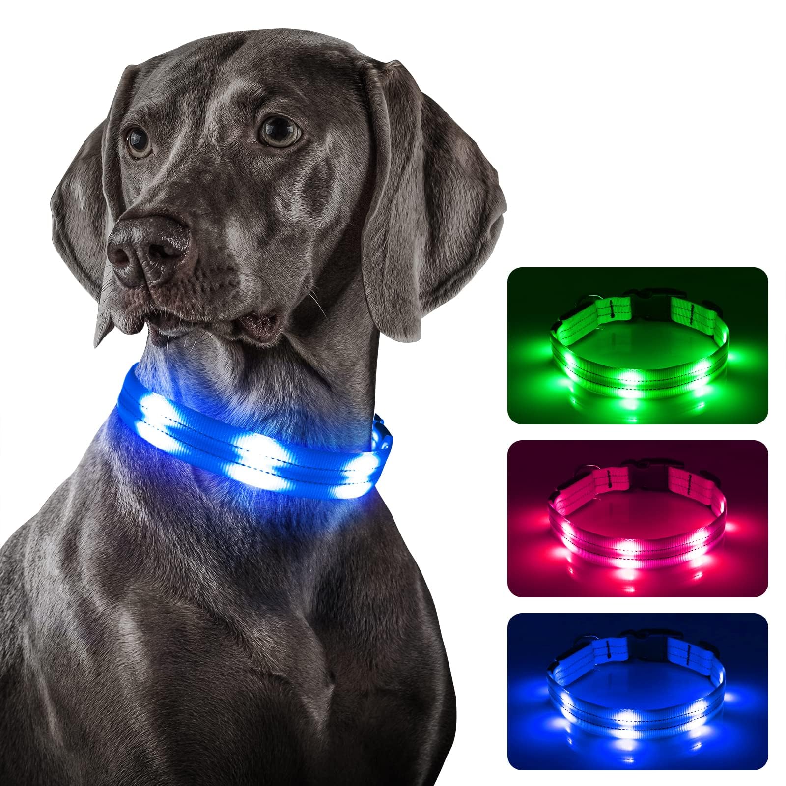 Amazon.com : Dolitego Light Up Dog Collars - Rechargeable Glow in The ...