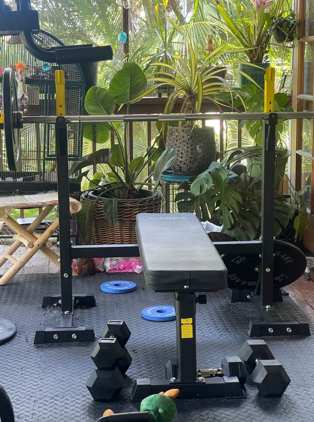 $32/mo - Finance Bench Press, CANPA Olympic Weight Bench with Squat ...