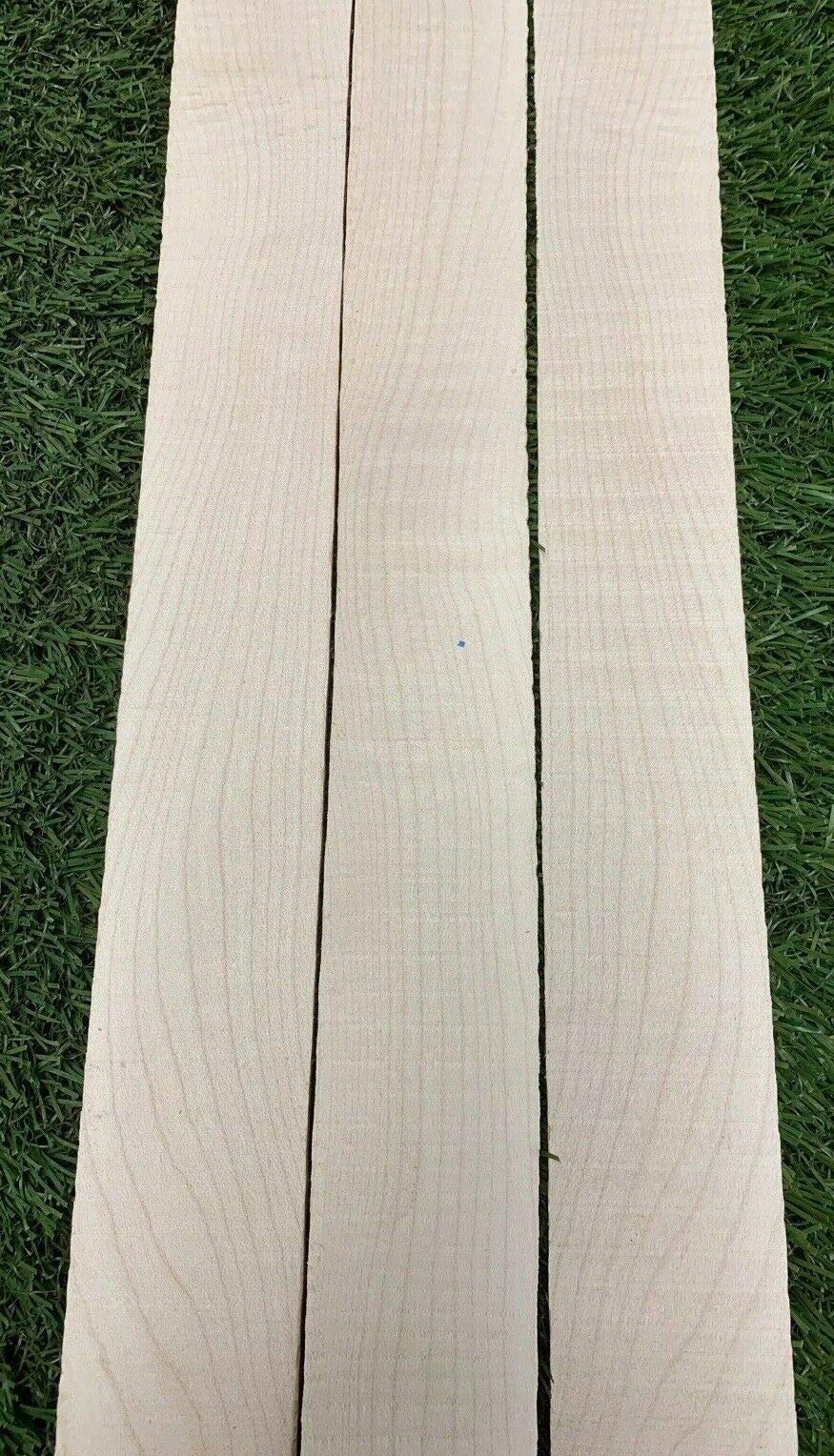 Amazon.com: Pack of 3 Beautiful Maple Thin Stock Lumber Boards ...