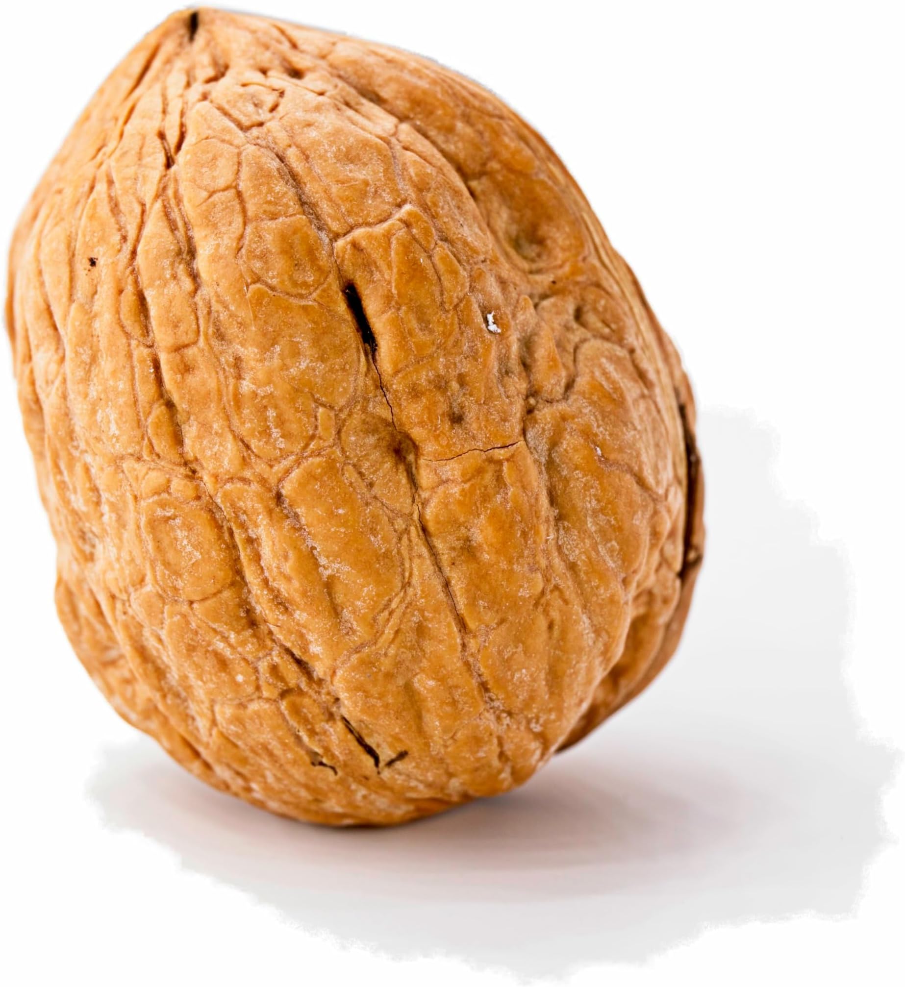 Amazon.com : Crazy Nuts | California Grown Whole Walnuts In Shell, 5lb ...