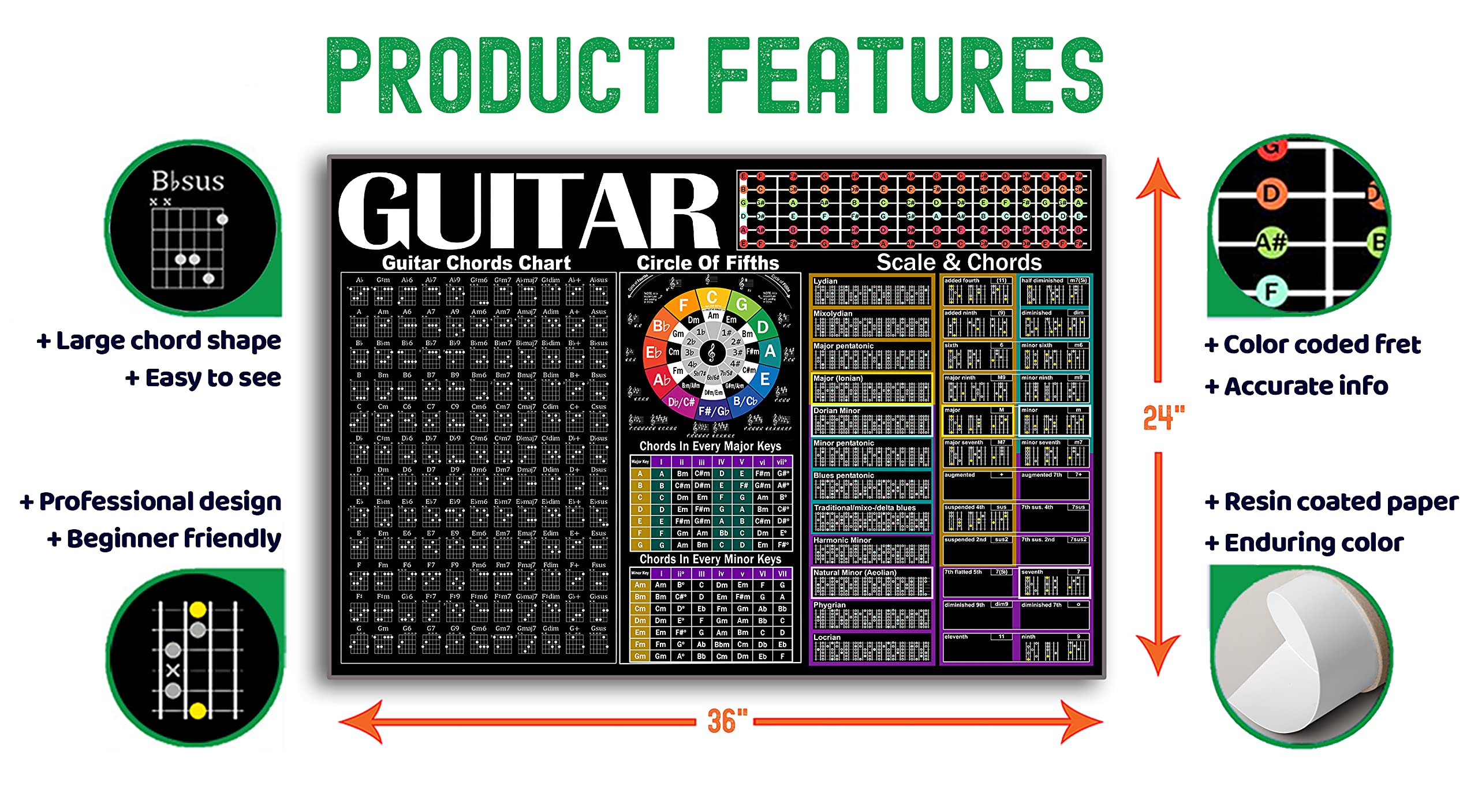 HAM Guitar Chord Poster 24x36, Chart, Circle of Fifths, Scales and ...