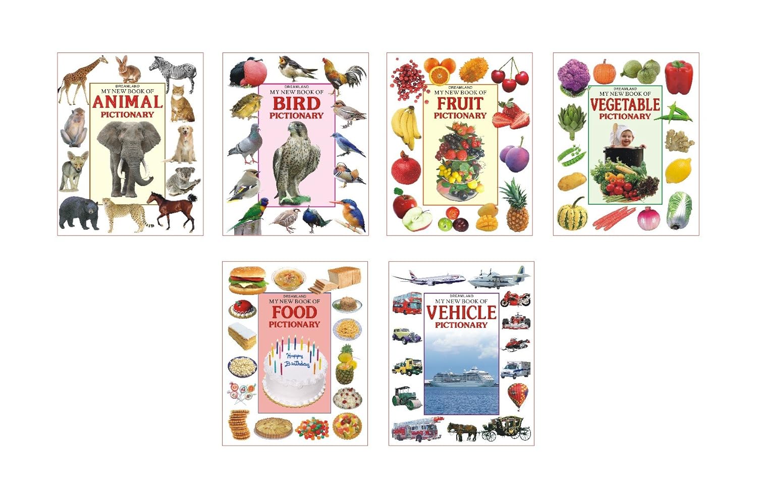 My New Book of Pictionary Pack (6 Titles) : Dreamland Publications ...