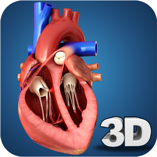 Heart Anatomy Pro. - App on Amazon Appstore