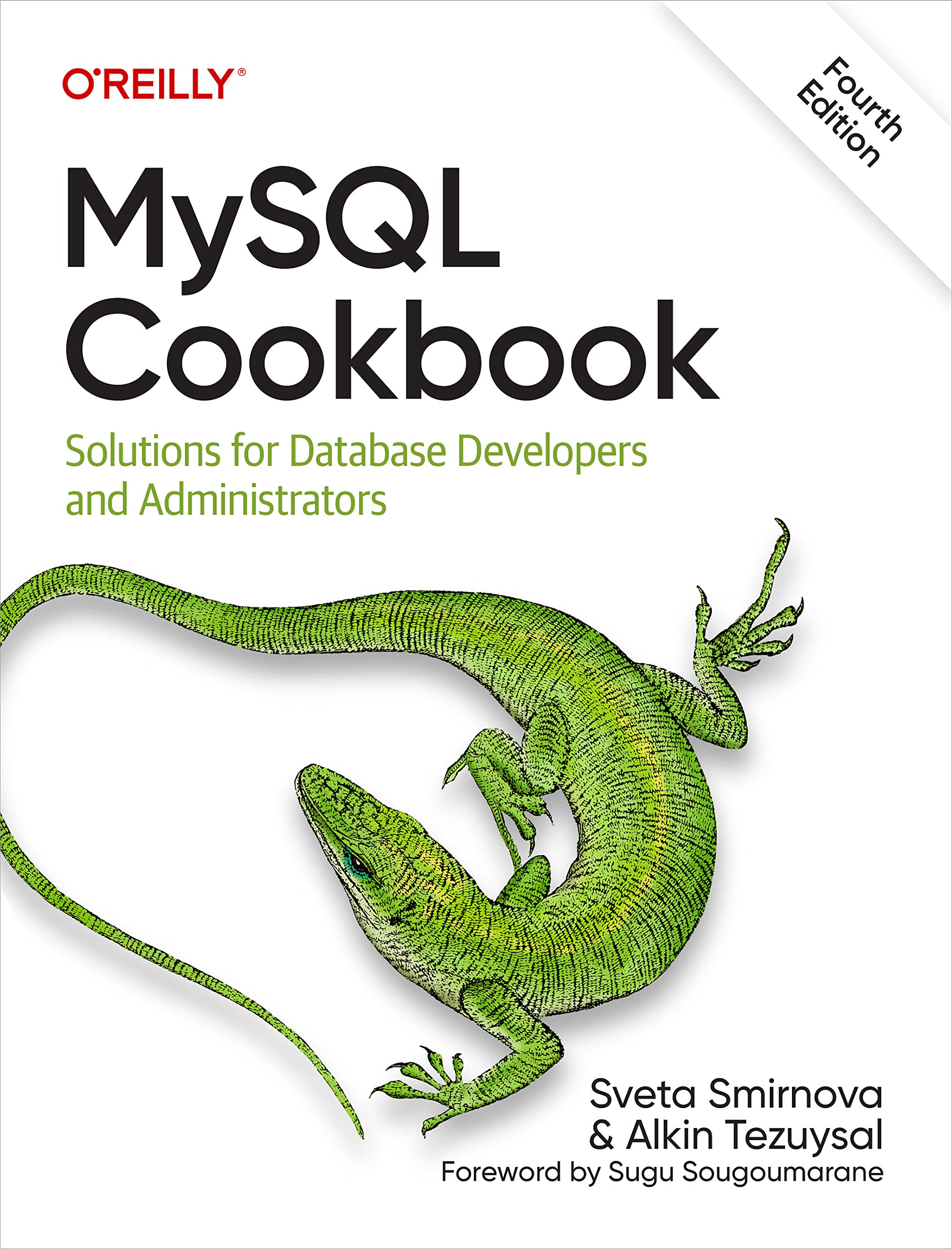 CV-FESZ: . .: [Pdf] Free PDF MySQL Cookbook: Solutions for Database ...