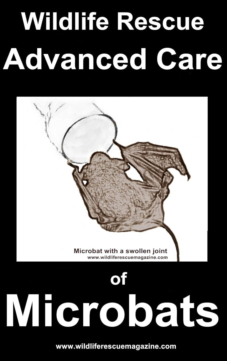 Amazon.com: Advanced Care of Microbats (Wildlife Rescue) eBook ...