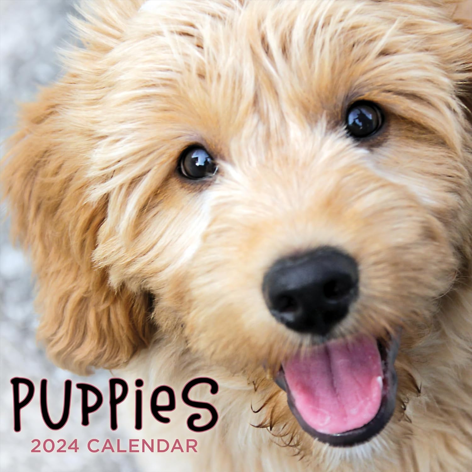 Amazon.com: TF PUBLISHING 2024 Puppies Wall Calendar | Large Grids for Appointments and ...