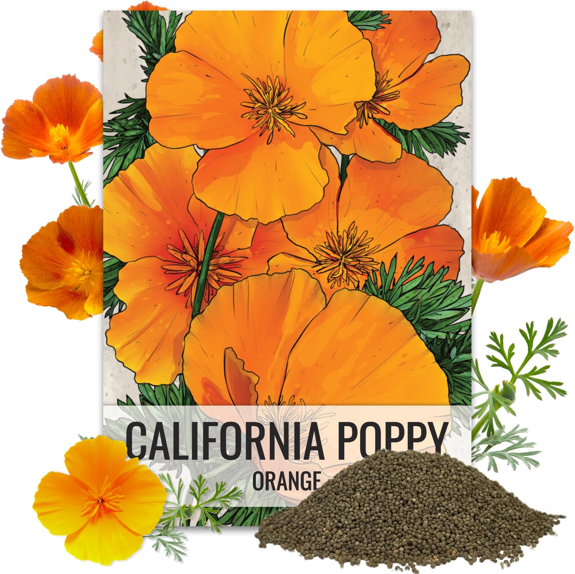 Amazon.com : Cotinus coggygria: Smoke Tree Seeds : Tree Plants : Patio ...