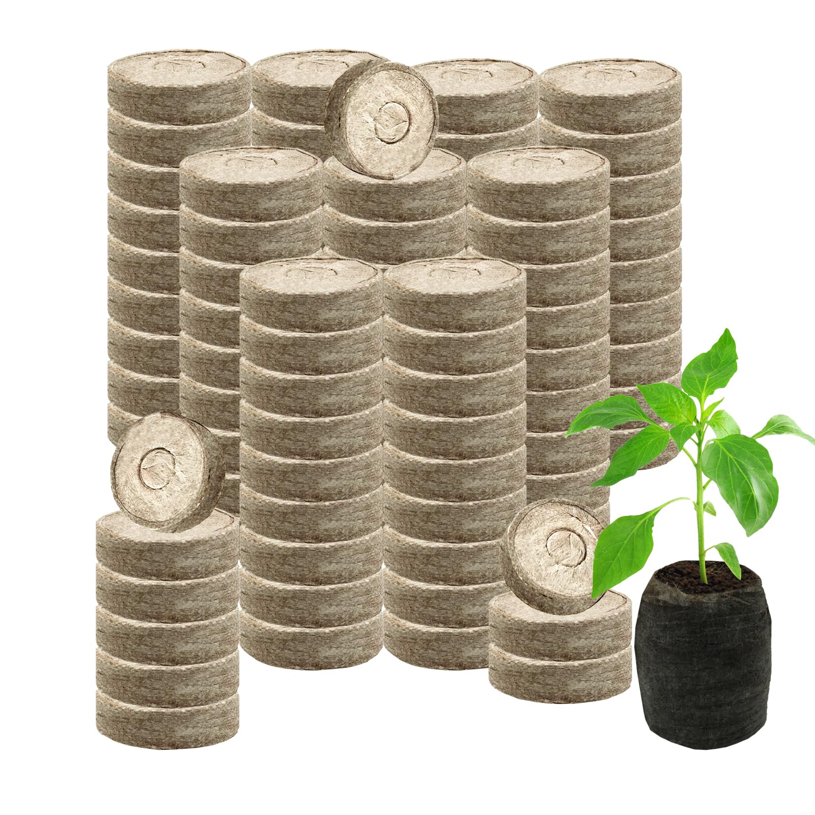 Amazon.com : IRWORHDR 255Pcs 40mm Peat Pellet Fiber Soil Plant Seed ...
