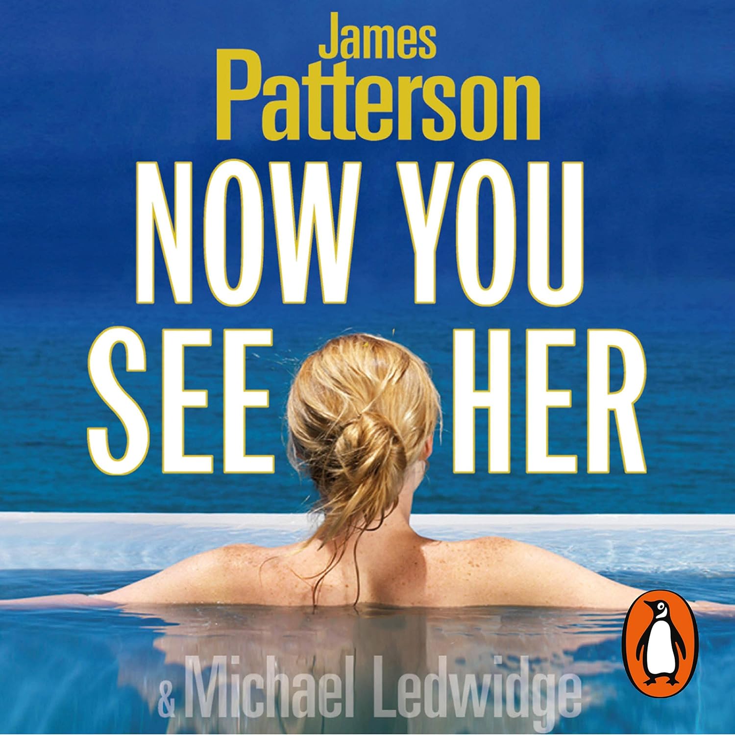 Now You See Her: A stunning summer thriller (Audio Download): James ...