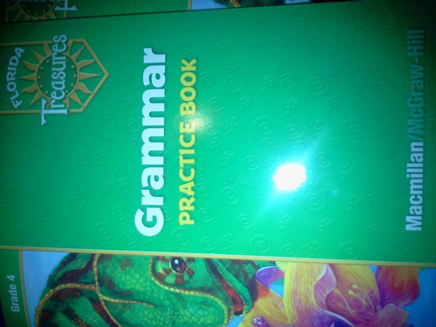 Grammar Practice Book Grade 4 (Florida Treasures): McGraw-Hill ...