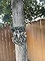 Amazon.com: Tree Face Garden Decorations, Fun Old Man Tree Huggers Tree ...