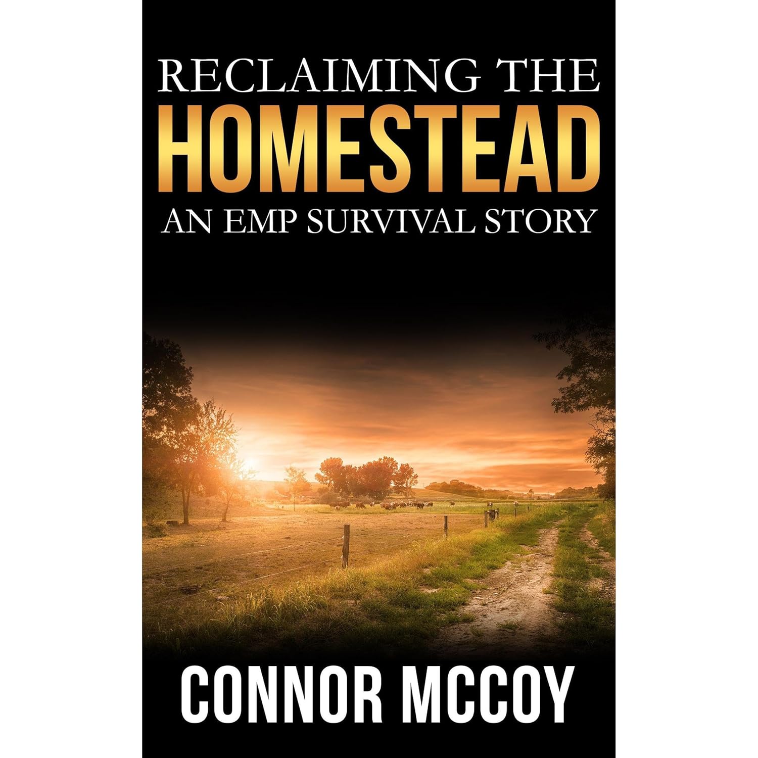 Amazon.com: Reclaiming The Homestead: An EMP Survival story (Audible ...