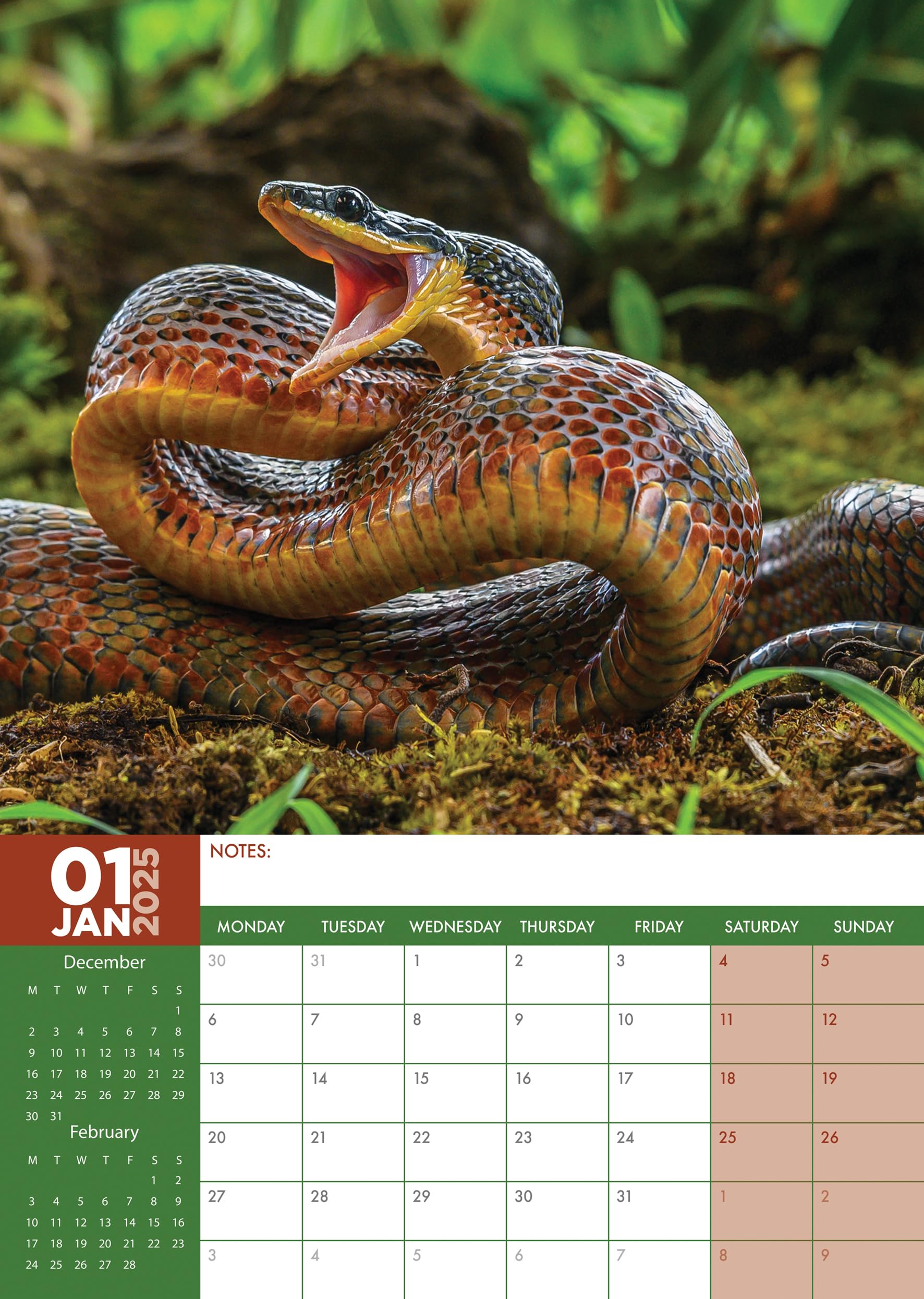 Snakes 2025 – A3 Size Wirobound Calendar – BigaMart