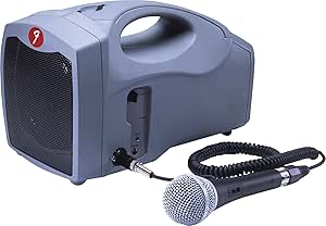 Fender Passport P10 Personal Sound System with Wired Microphone ...