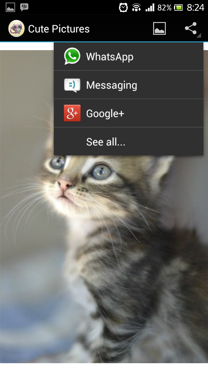 Meowie - Cute Cat Wallpapers - App on the Amazon Appstore