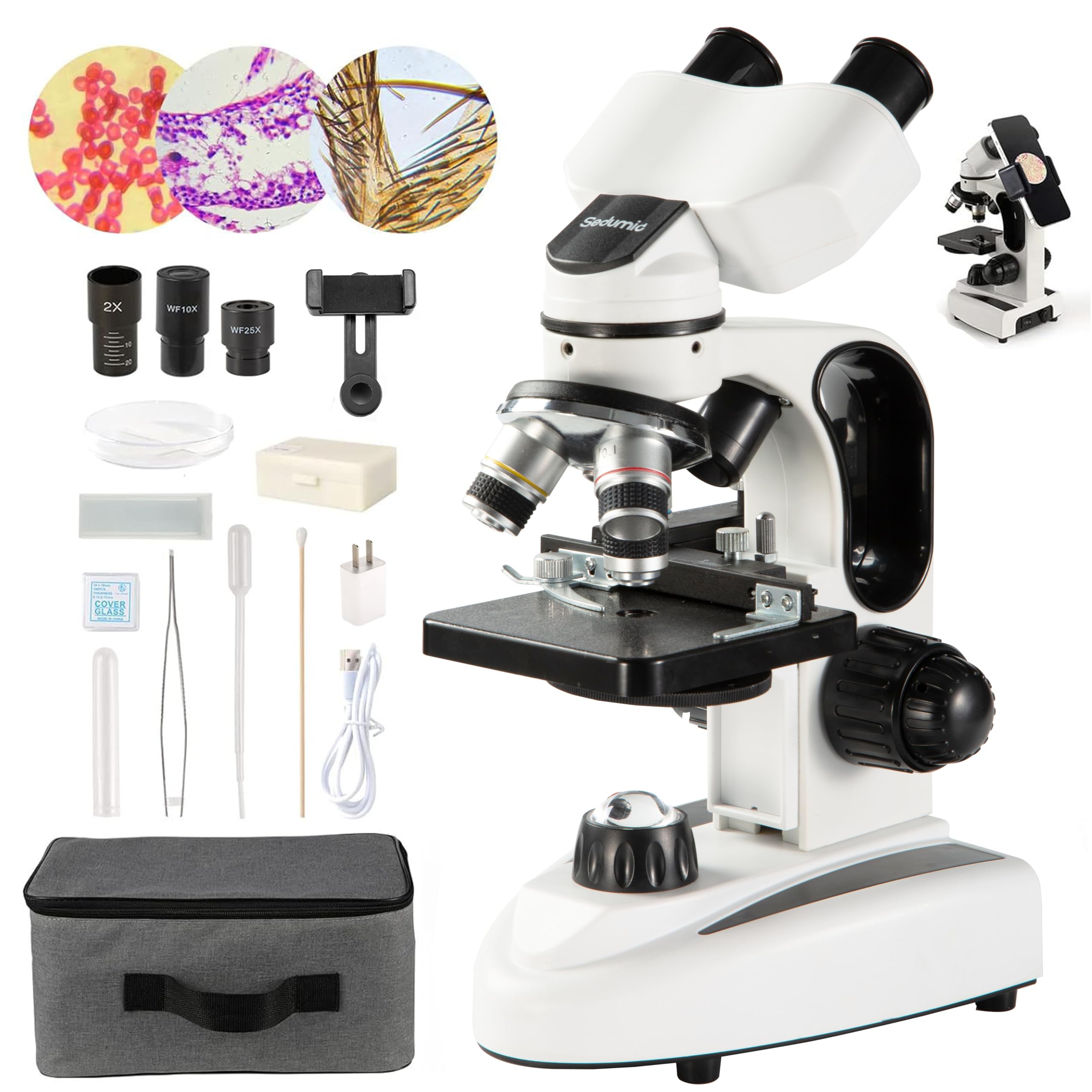 Amazon.com: Sedumic Compound Binocular Microscope 40X-2000X LED ...