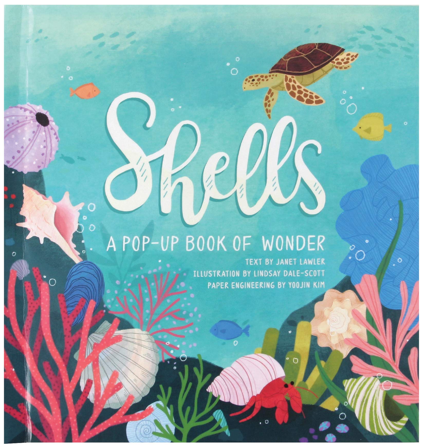 Shells: A Pop-Up Book of Wonder (4 Seasons of Pop-Up): Lawler, Janet ...