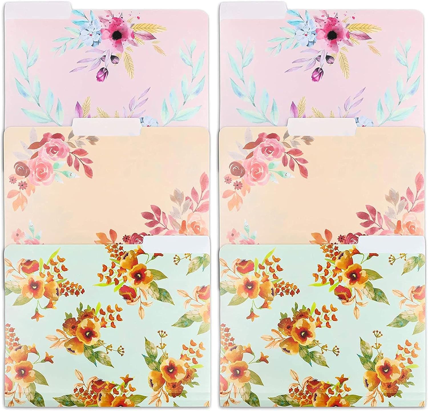 Amazon.com : Plastic Floral File Folders, 1/3 Cut Tabs (Letter Size, 6 ...