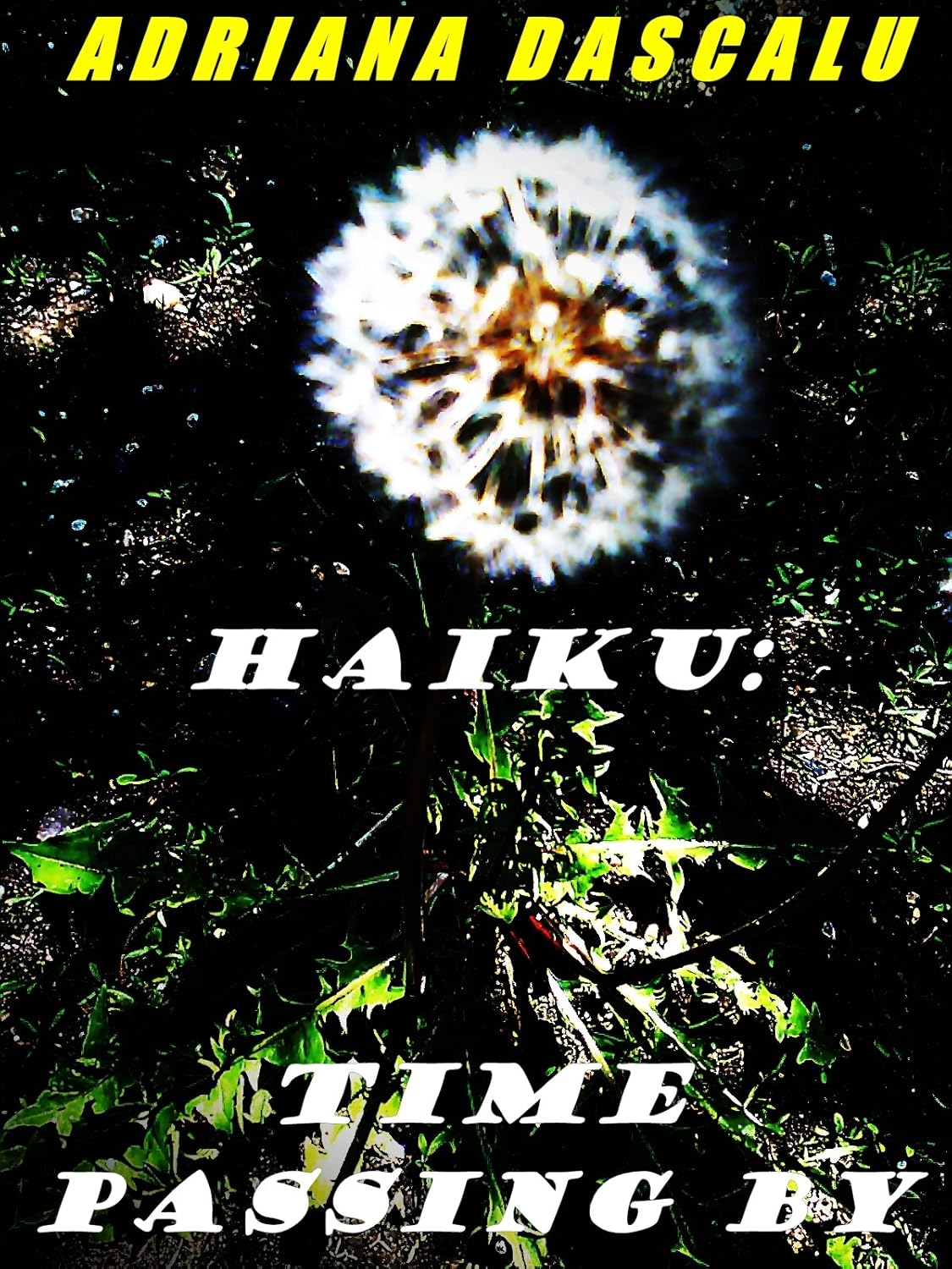 Haiku: Time Passing By (A Haiku Collection Book 2) - Kindle edition by ...