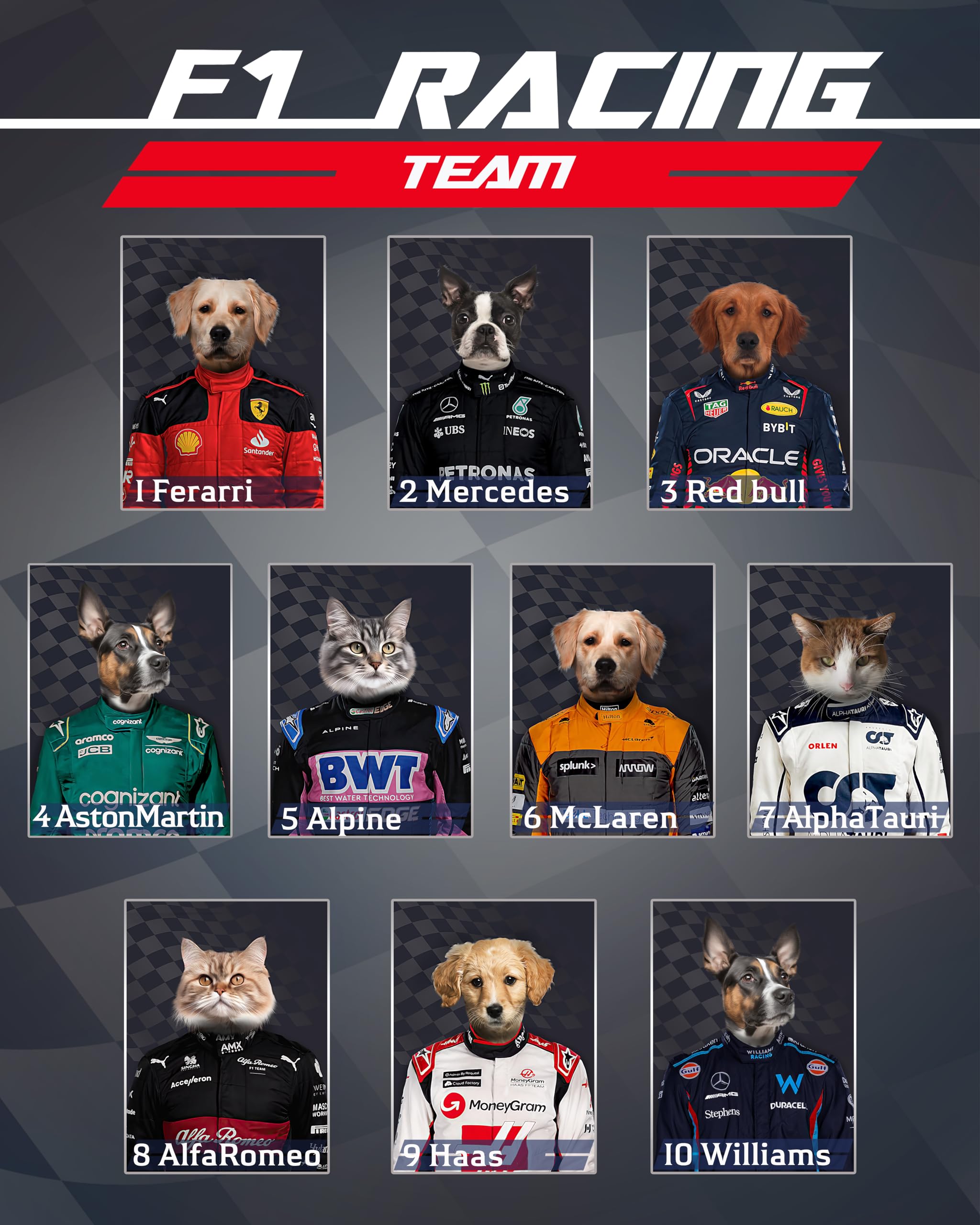 Red Bull Cat Memes