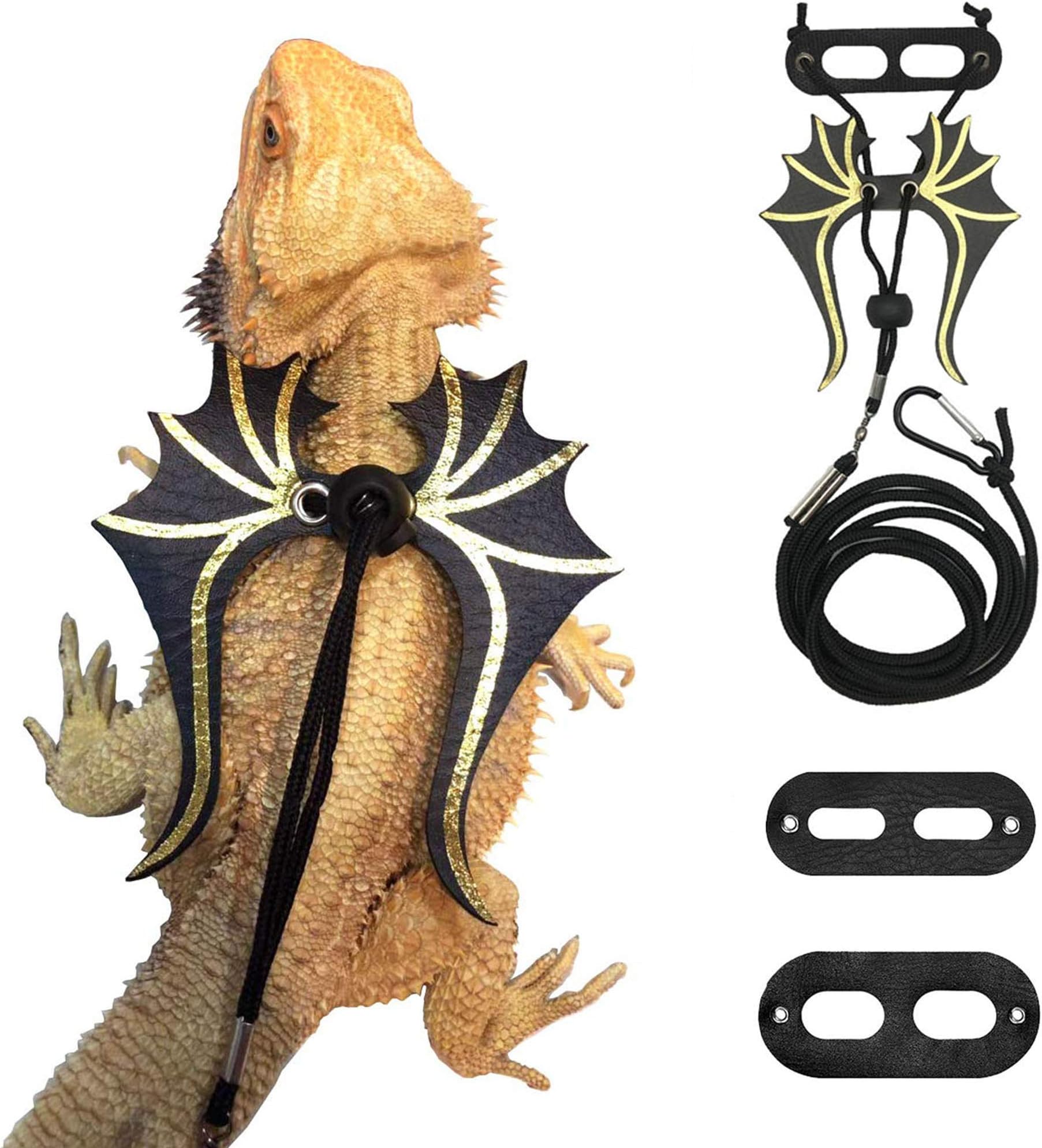 Amazon.com : ADOGGYGO Bearded Dragon Lizard Leash Harness - 3 Size Pack ...