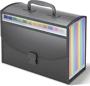 Amazon.com : 13 Pockets File Organizer with Handle,Accordion File Folders,Portable Expanding ...