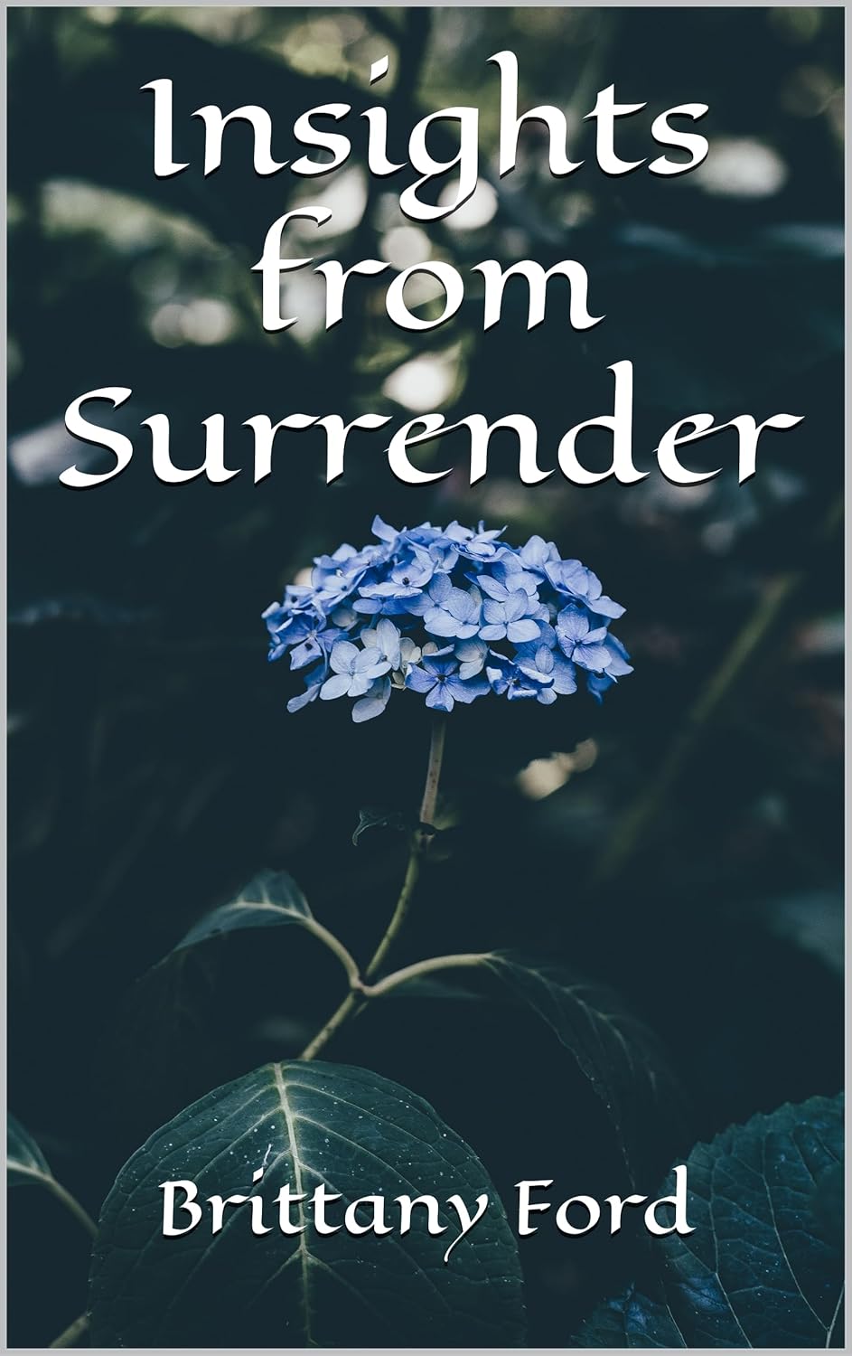 Amazon.com: Insights from Surrender eBook : Ford, Brittany, Jenkins ...