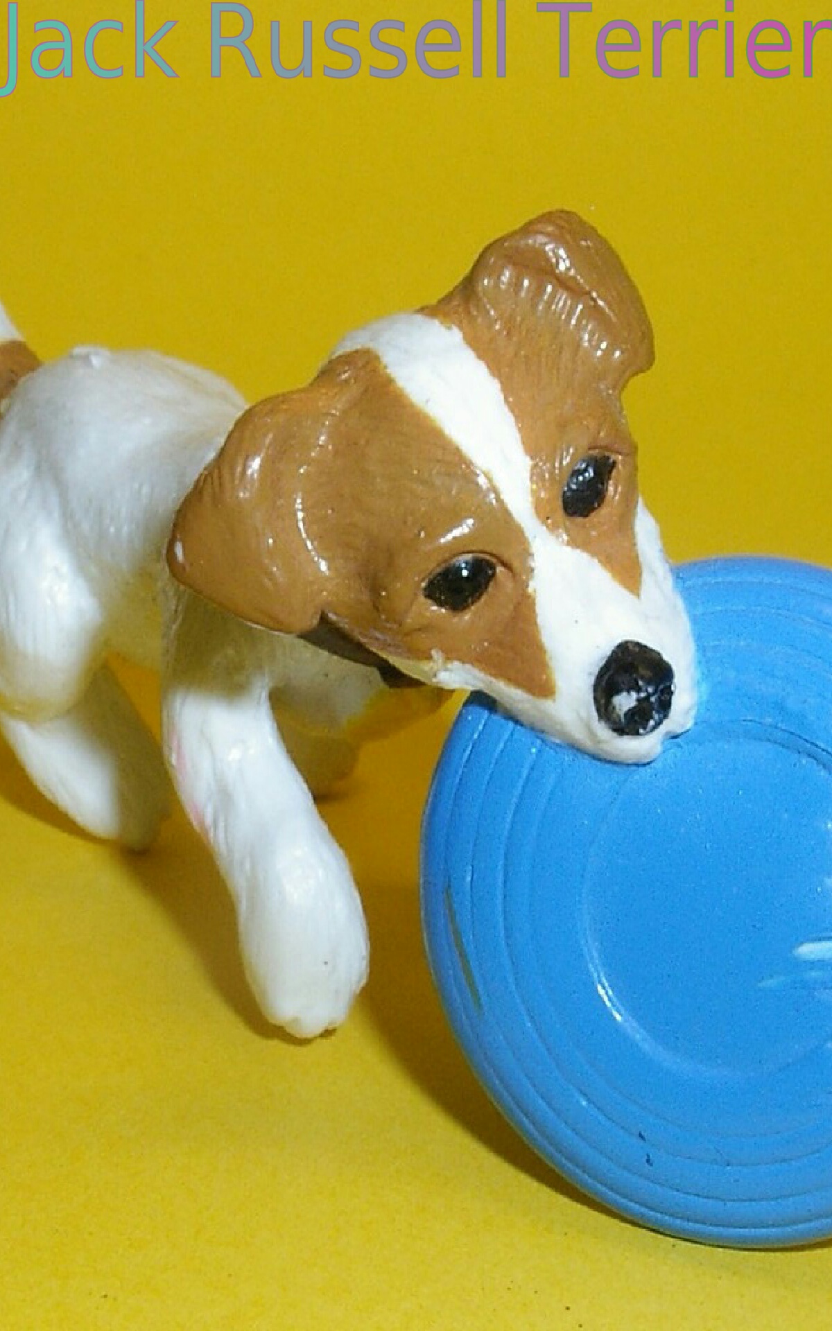 Model Puppy Dog Breeds 2 - App on Amazon Appstore