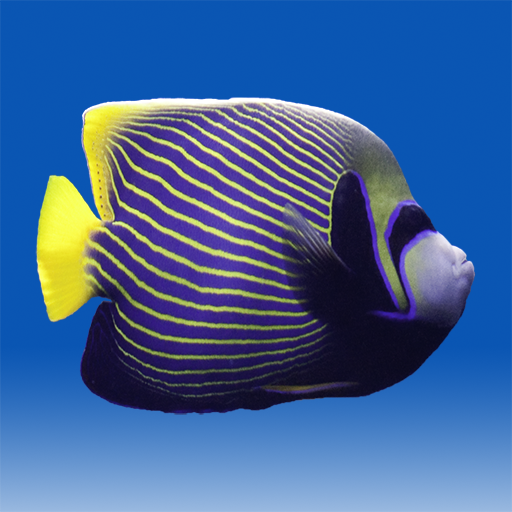 Fishies 1.0 - App on the Amazon Appstore