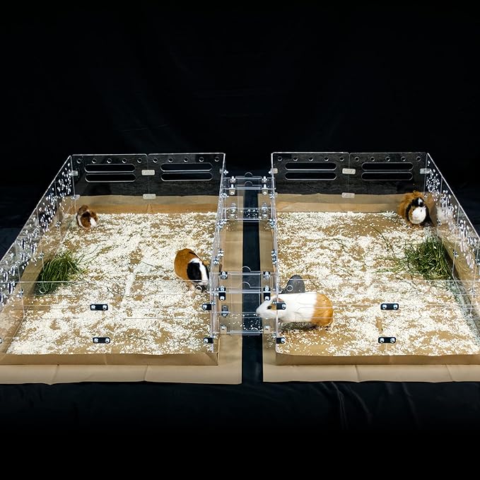 GuineaLoft ™ Cage Connector - Connecting Guinea Pig Cages Through ...