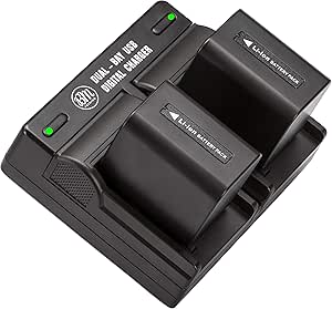 Amazon.com: BM Premium 2 NP-FV70A High Capacity Batteries and Dual Bay Charger for Sony FDR-AX30 ...