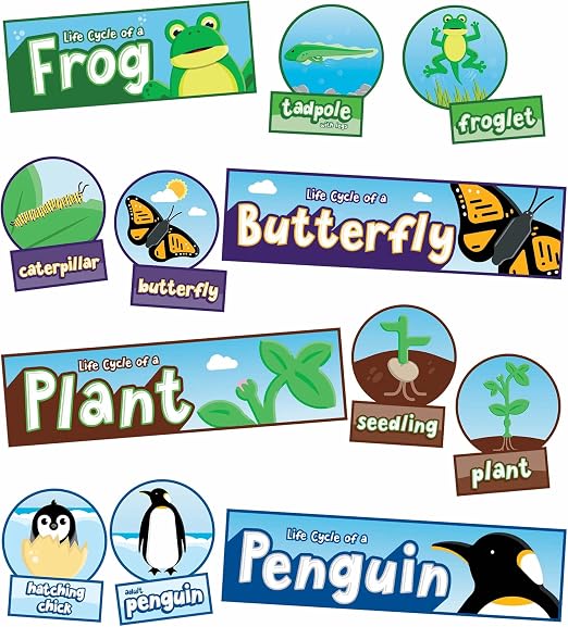 Arrows Frogs Plants 55 pc Headers for Life Cycles of Butterflies Labels ...