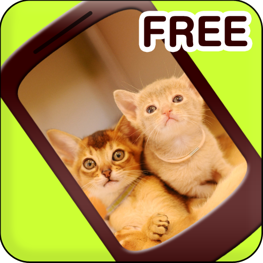 Cat live wallpaper Free vol.1 - App on Amazon Appstore