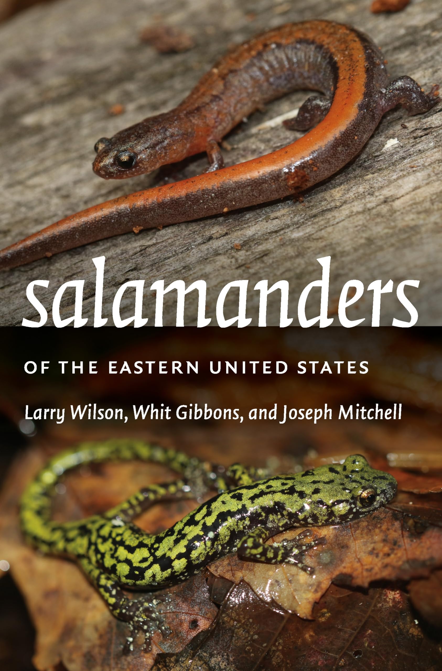 Salamanders of the Eastern United States (Wormsloe Foundation Nature ...