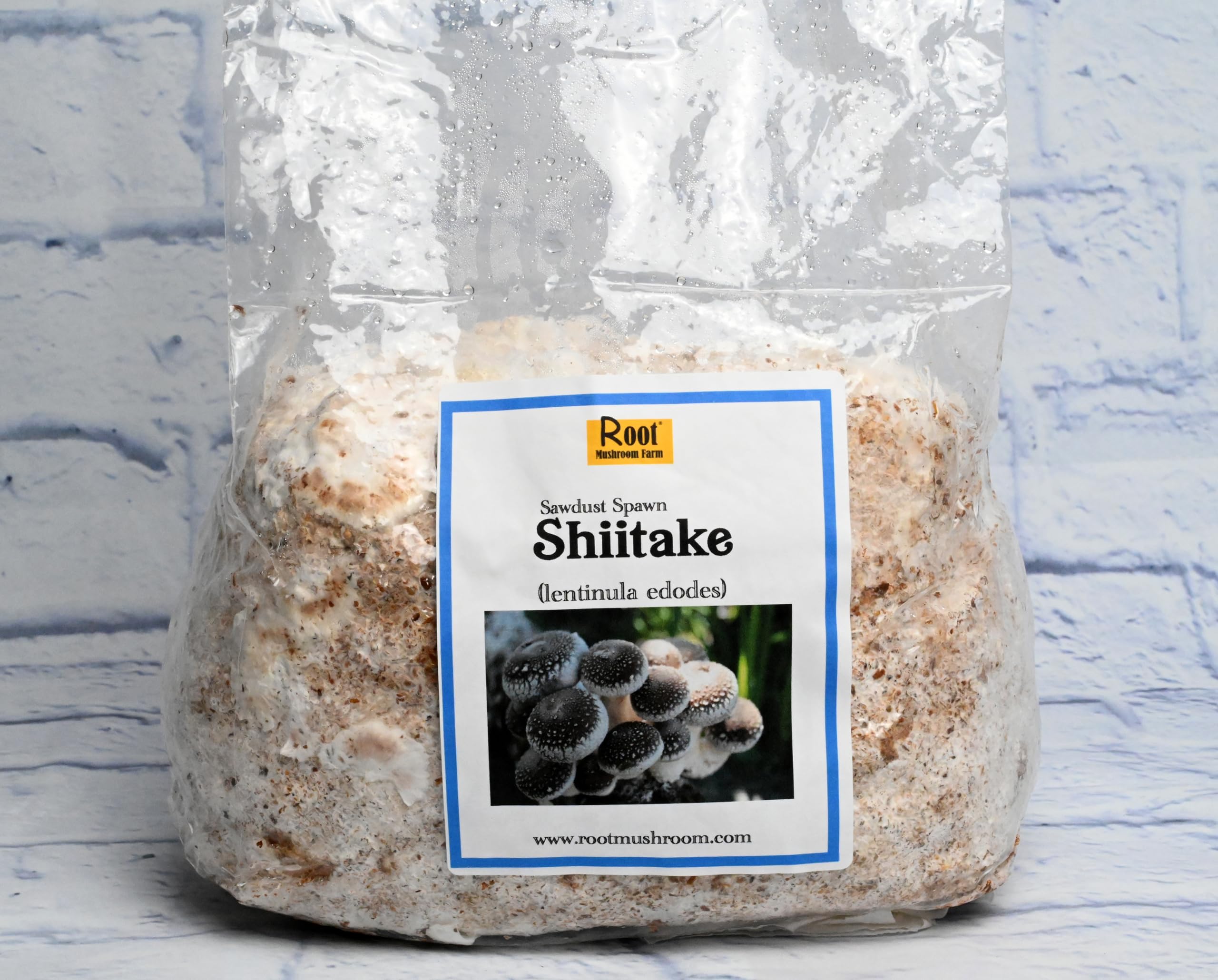 Amazon.com: Root Mushroom Farm-Shiitake Mushroom Sawdust Spawn(NOT A ...