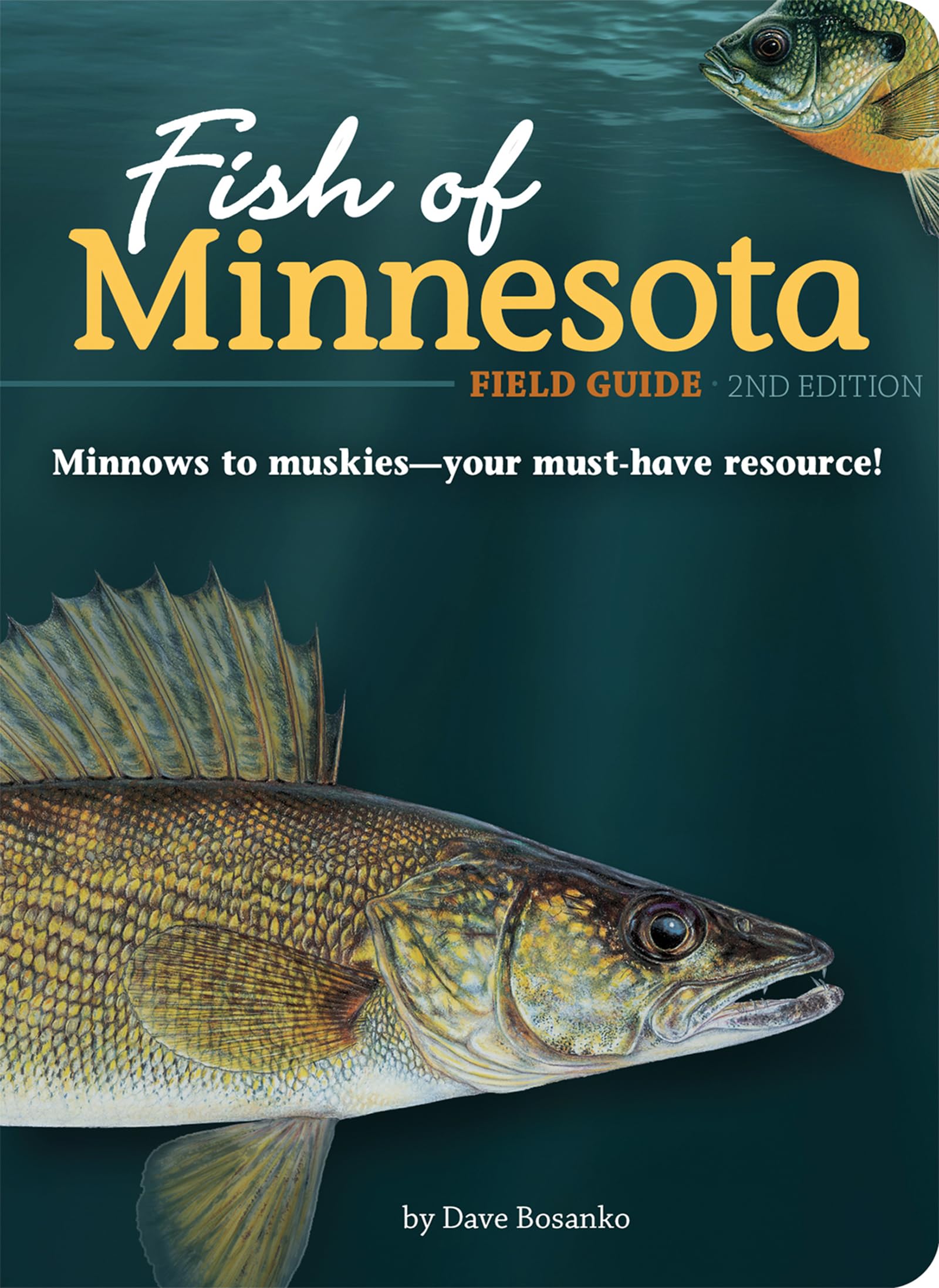Fish of Minnesota Field Guide (Fish Identification Guides): Bosanko ...
