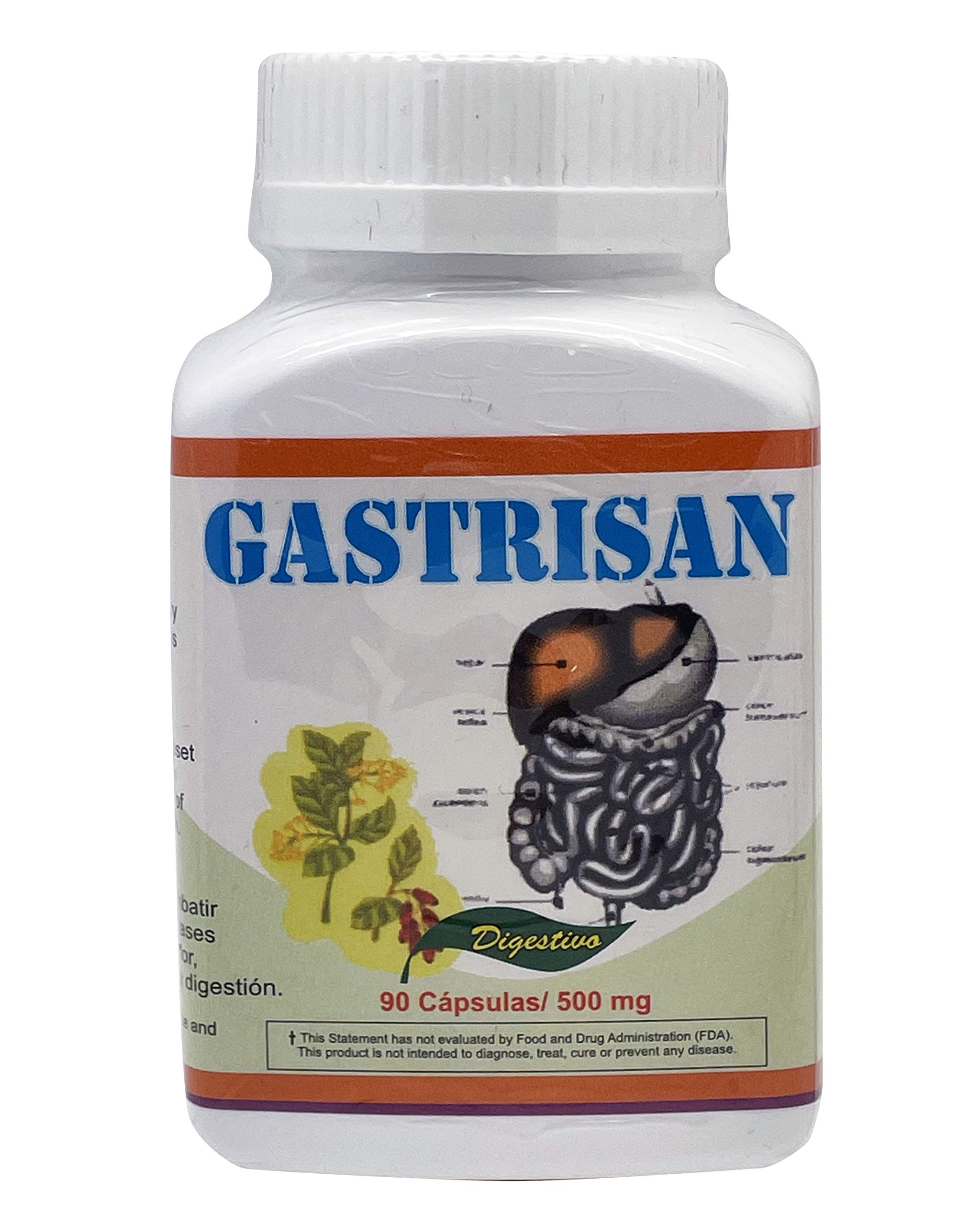 Amazon.com: Gastrisan 90 Capsules/ 500 mg : Health & Household