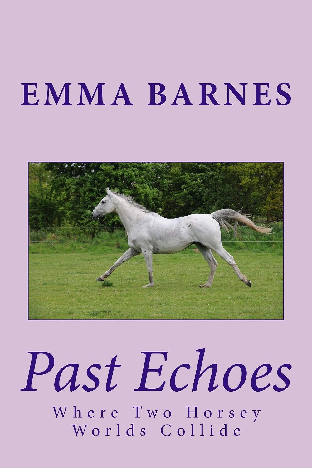 Amazon.com: Past Echoes (Pride Of Reddock Book 2) eBook : Barnes, Emma ...