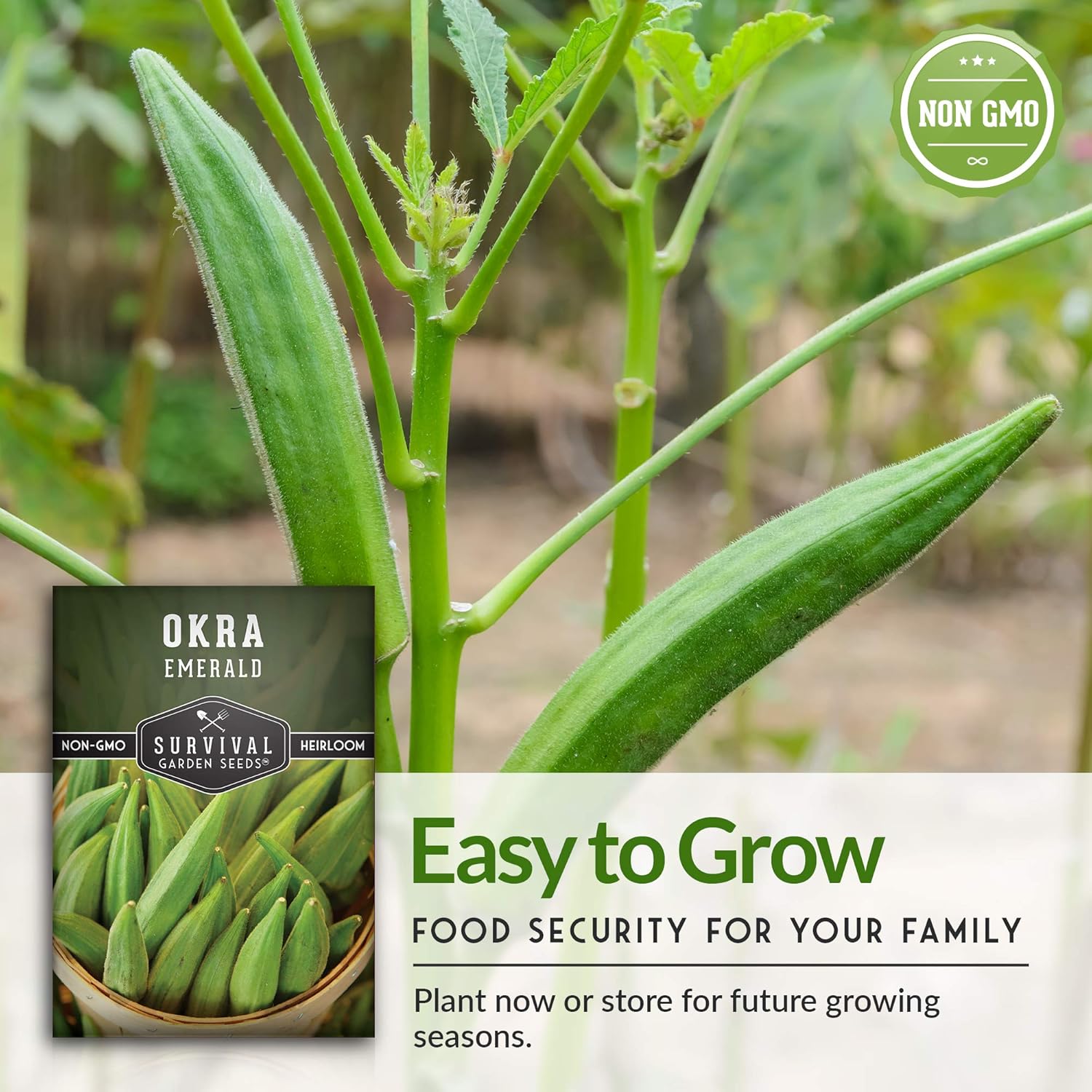 Survival Garden Seeds – Semilla de Okra esmeralda para plantar ...