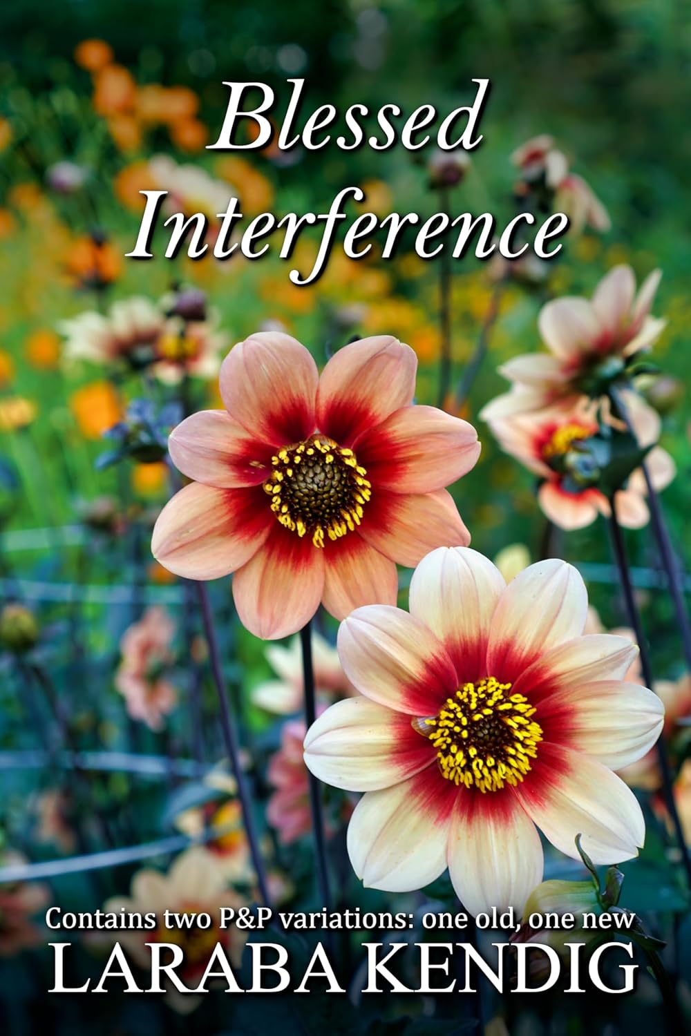 Blessed Interference: Pride and Prejudice Variations eBook : Kendig ...
