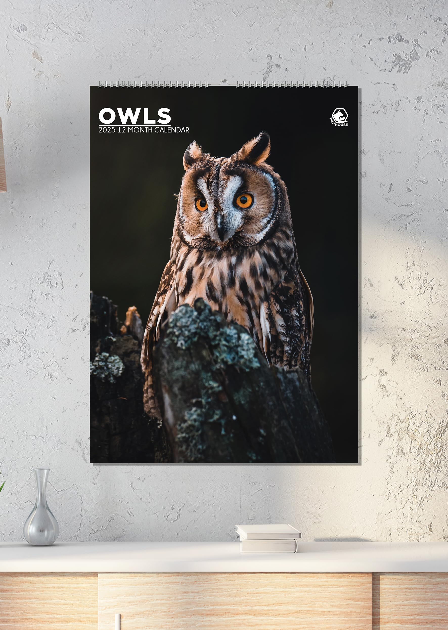 Owls 2025 – A3 Size Wirobound Calendar – BigaMart