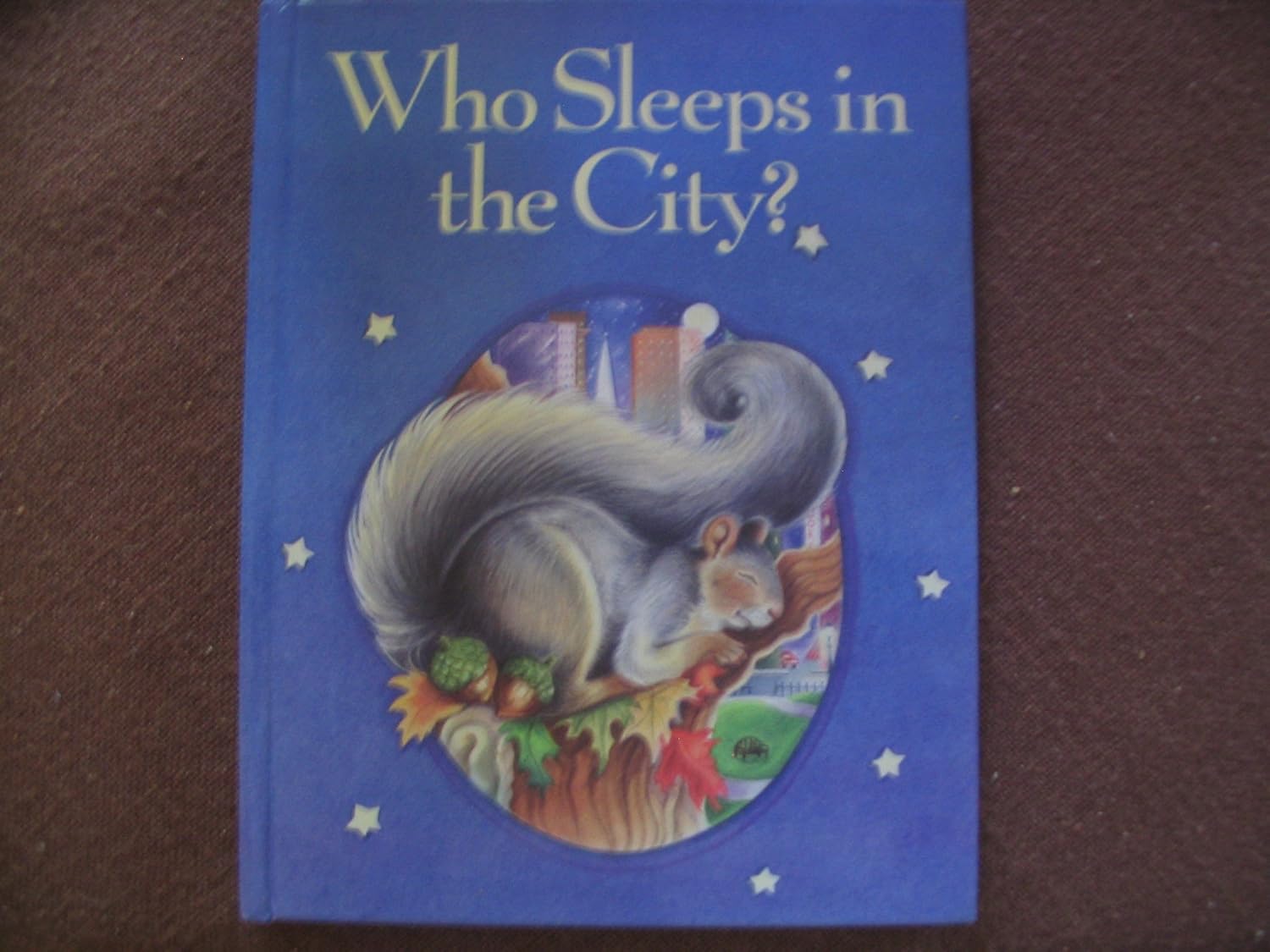 Who Sleeps in the City?: Bertrand, Lynne, Jaekel, Susan M ...