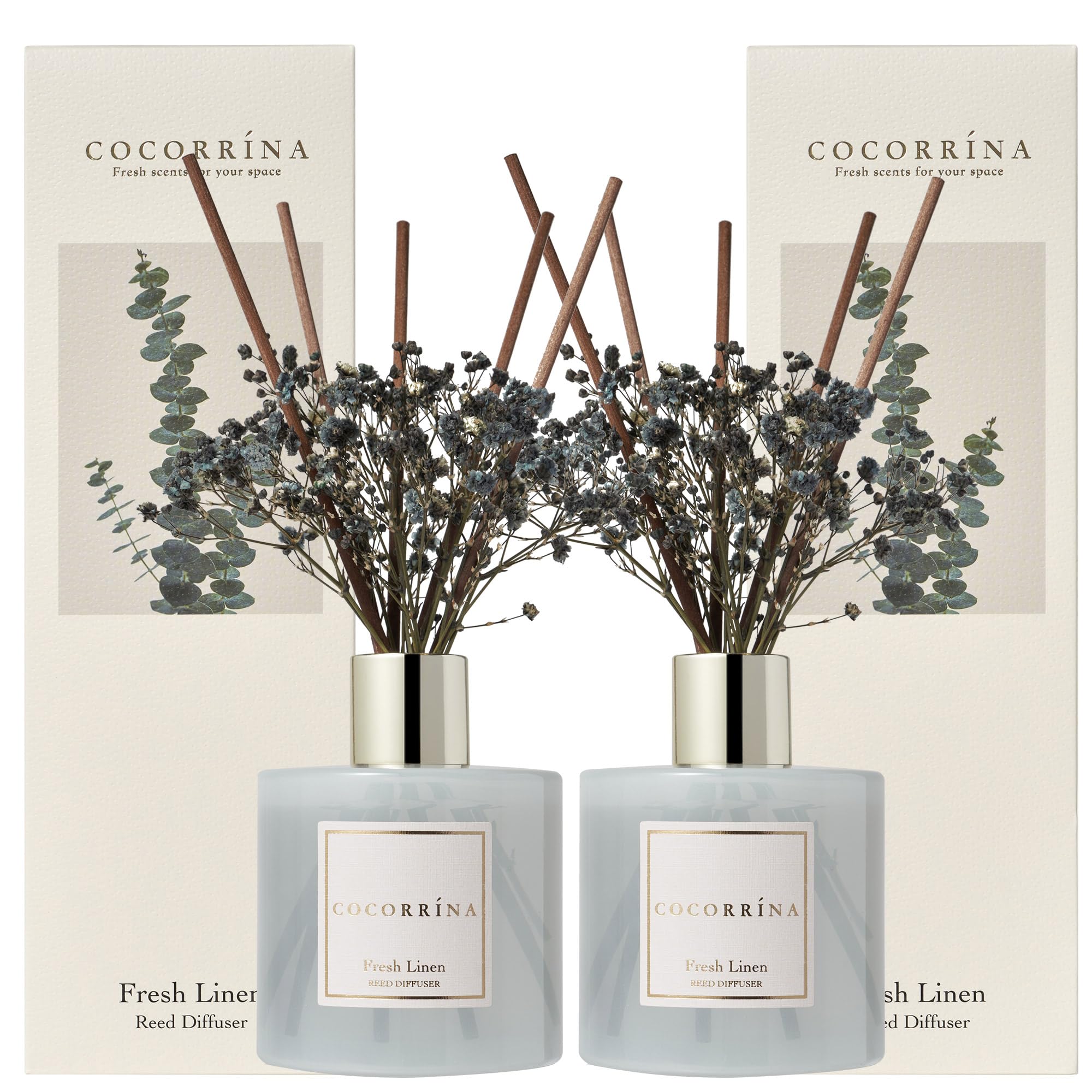 Snapklik.com : Cocorrina Reed Diffuser Set