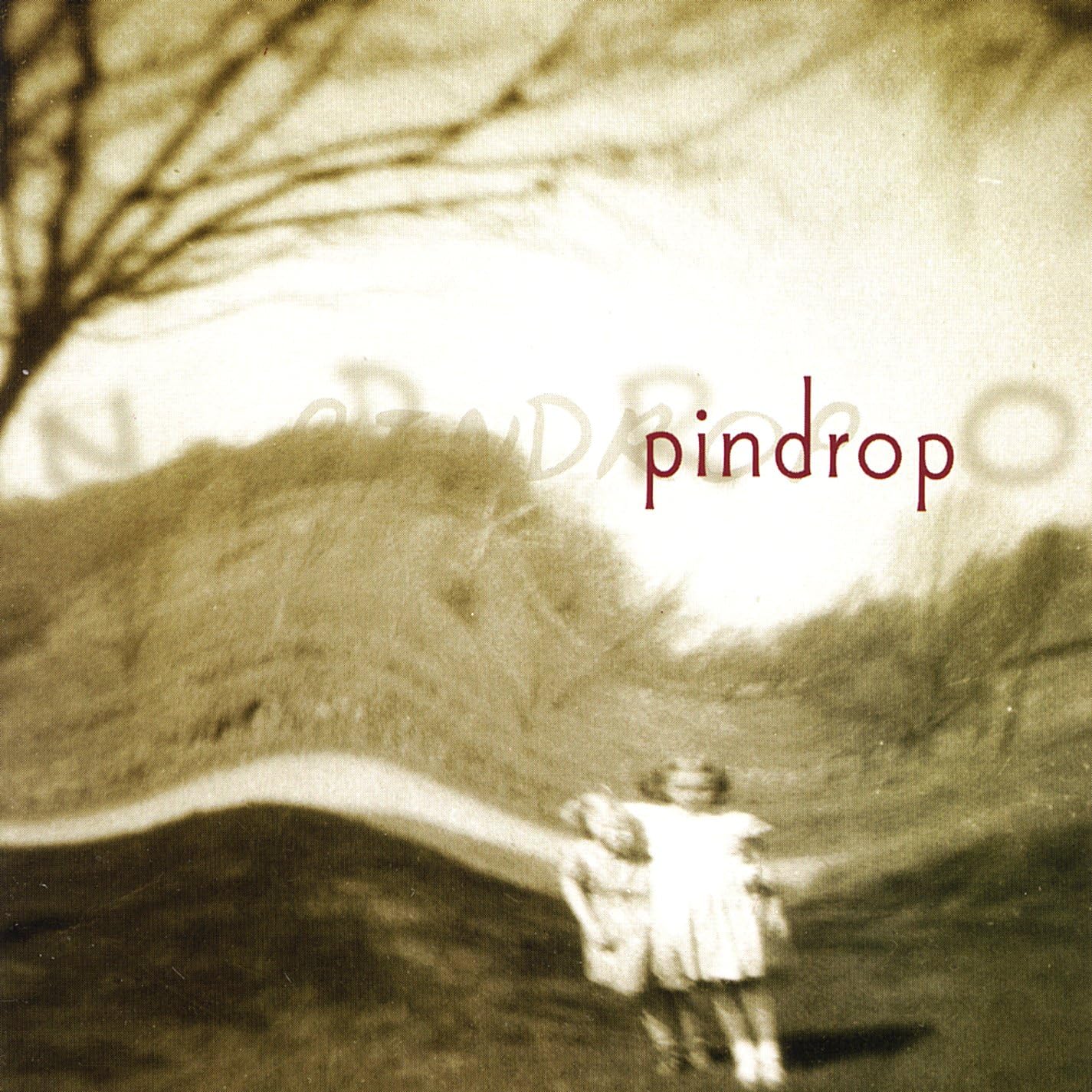 Pin Drop: Pindrop, Dave Sprecher: Amazon.ca: Music