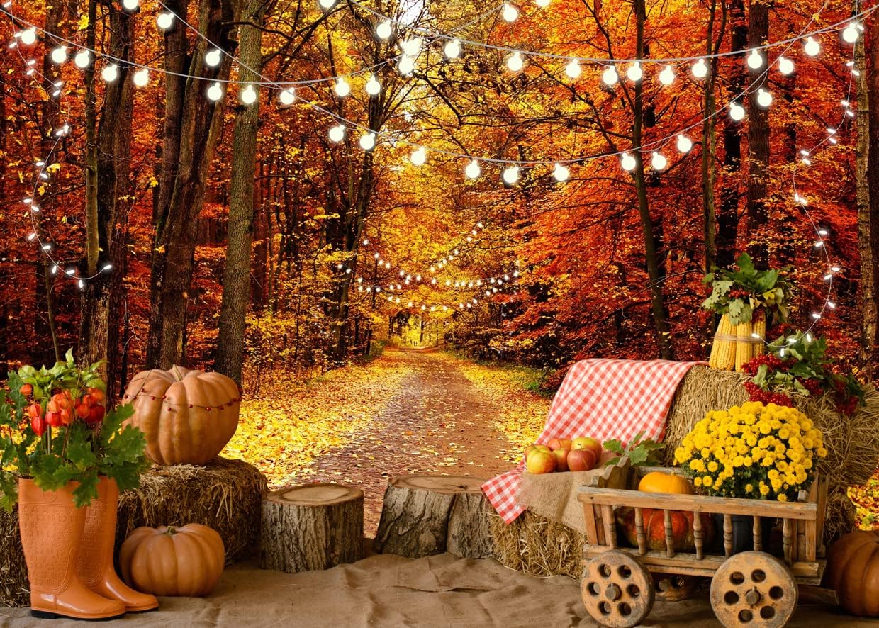 Amazon.com : DePhoto Fall Thanksgiving Harvest Photography Backdrop ...