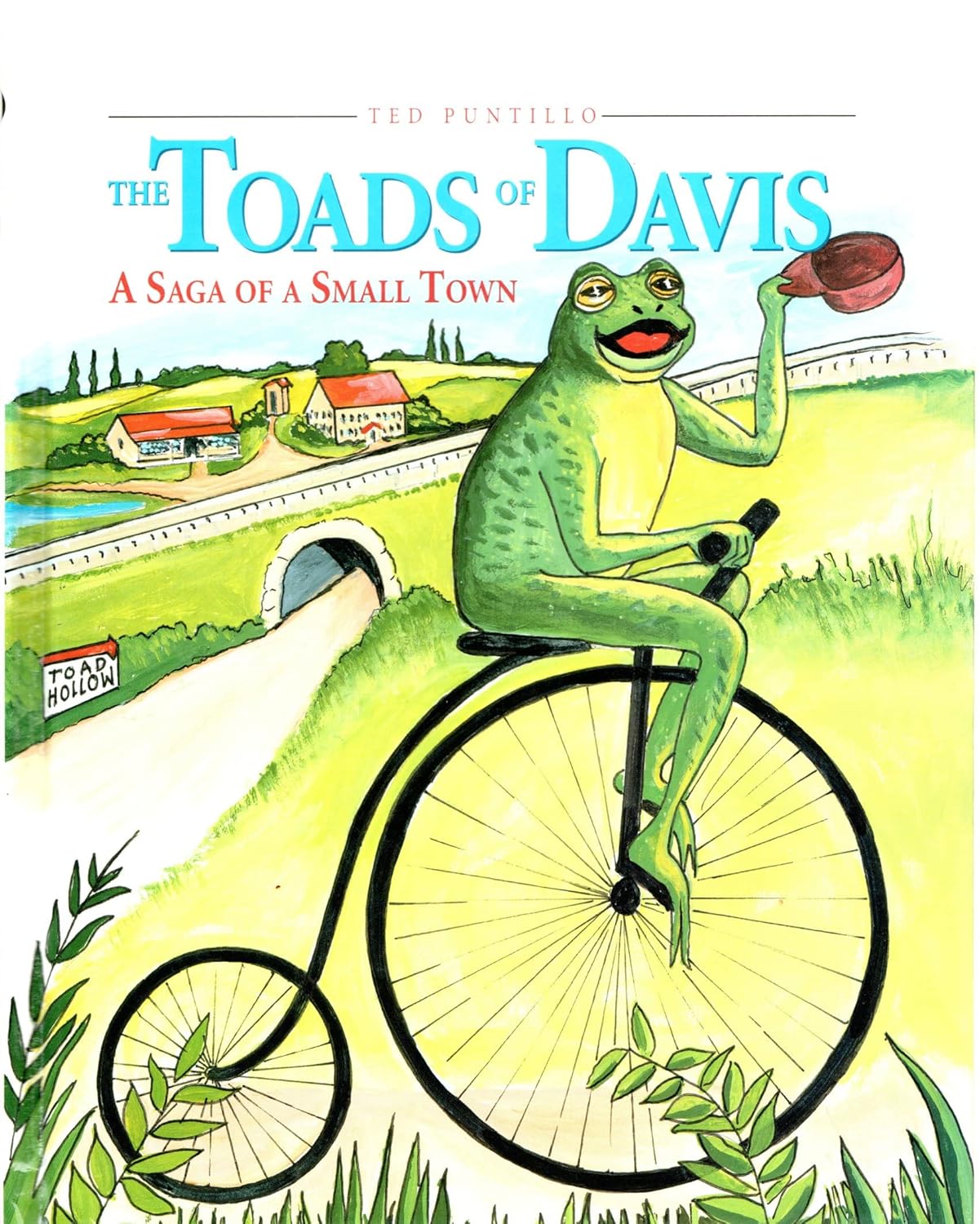 The Toads of Davis: a Saga of a Small Town: Puntillo, Ted, Catlin, Gail ...