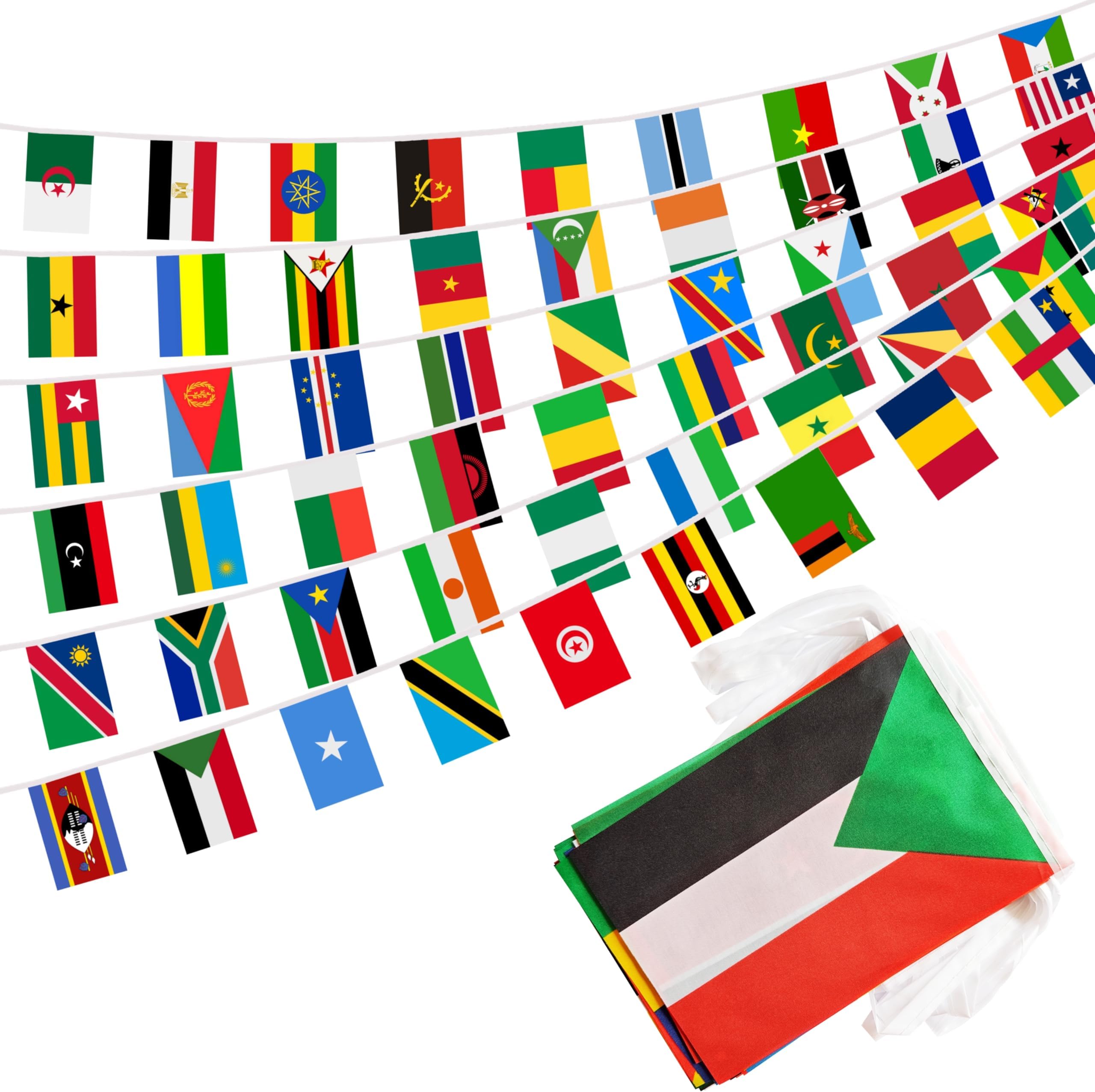 Amazon.com : Africa 54 Countries Banner Flag String, 54 African Country ...