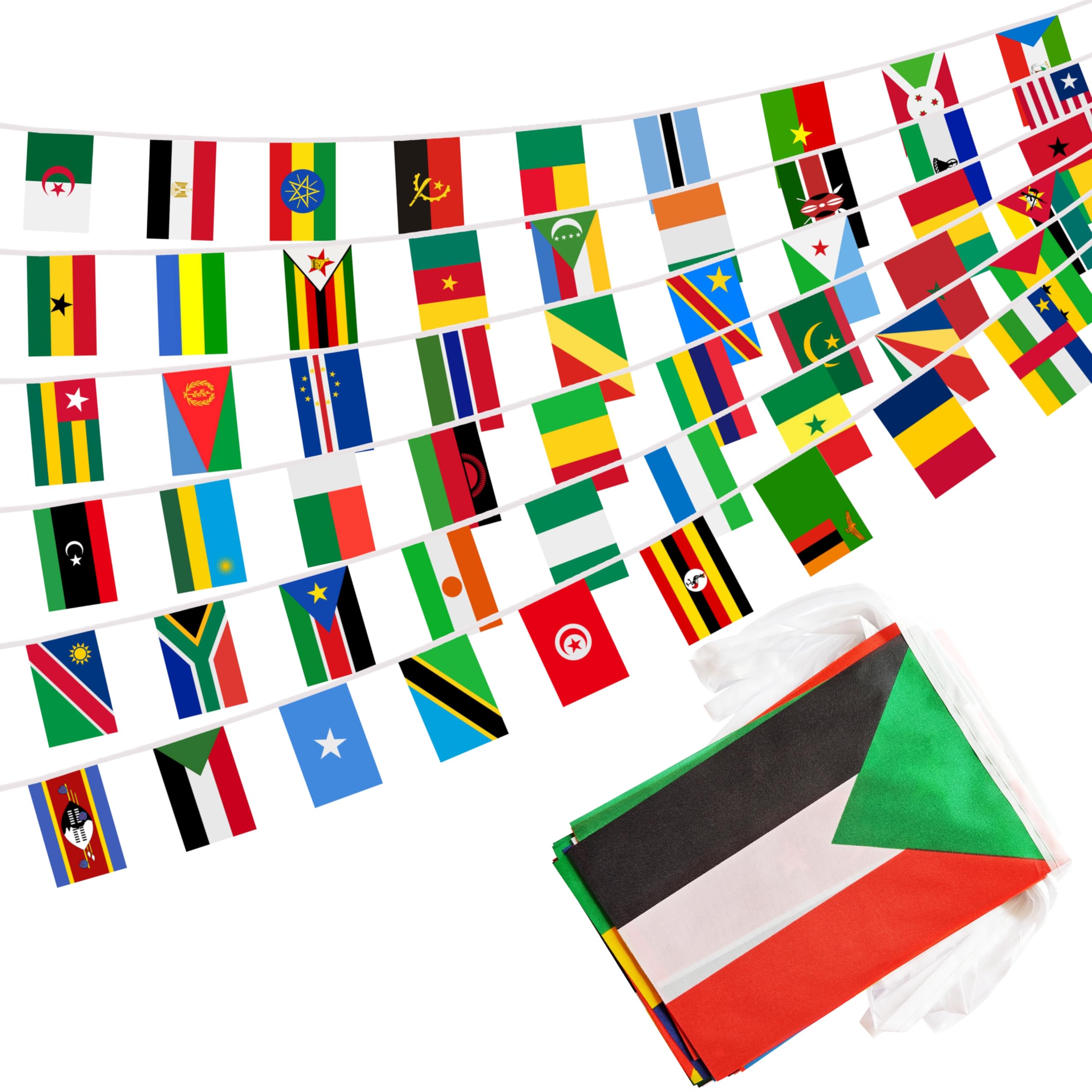 Amazon.com : Africa 54 Countries Banner Flag String, 54 African Country ...